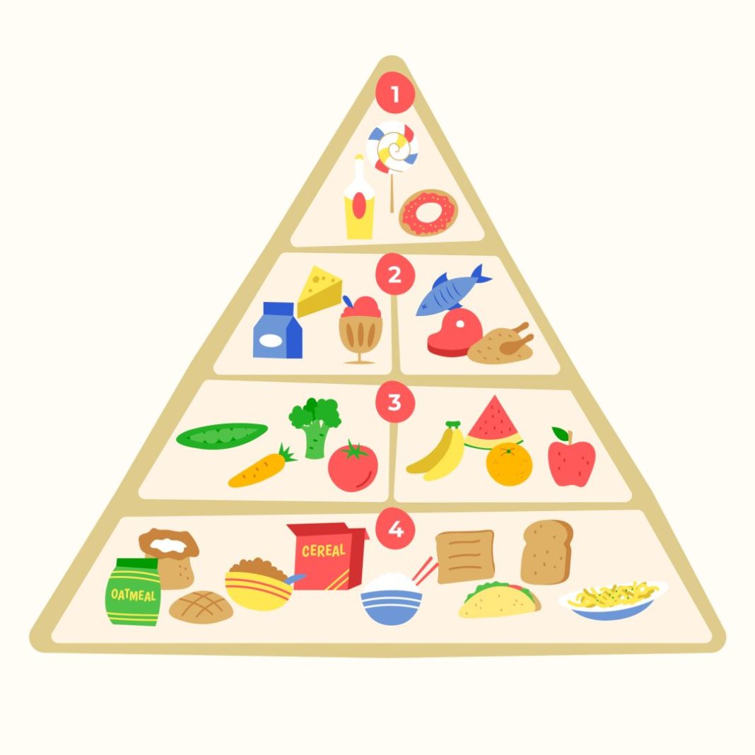 Potravinová pyramida - Co to je? + INFO zde! (2026) | Fitnesaci.cz